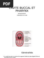 8.la Langue | PDF | Langue | Anatomie humaine
