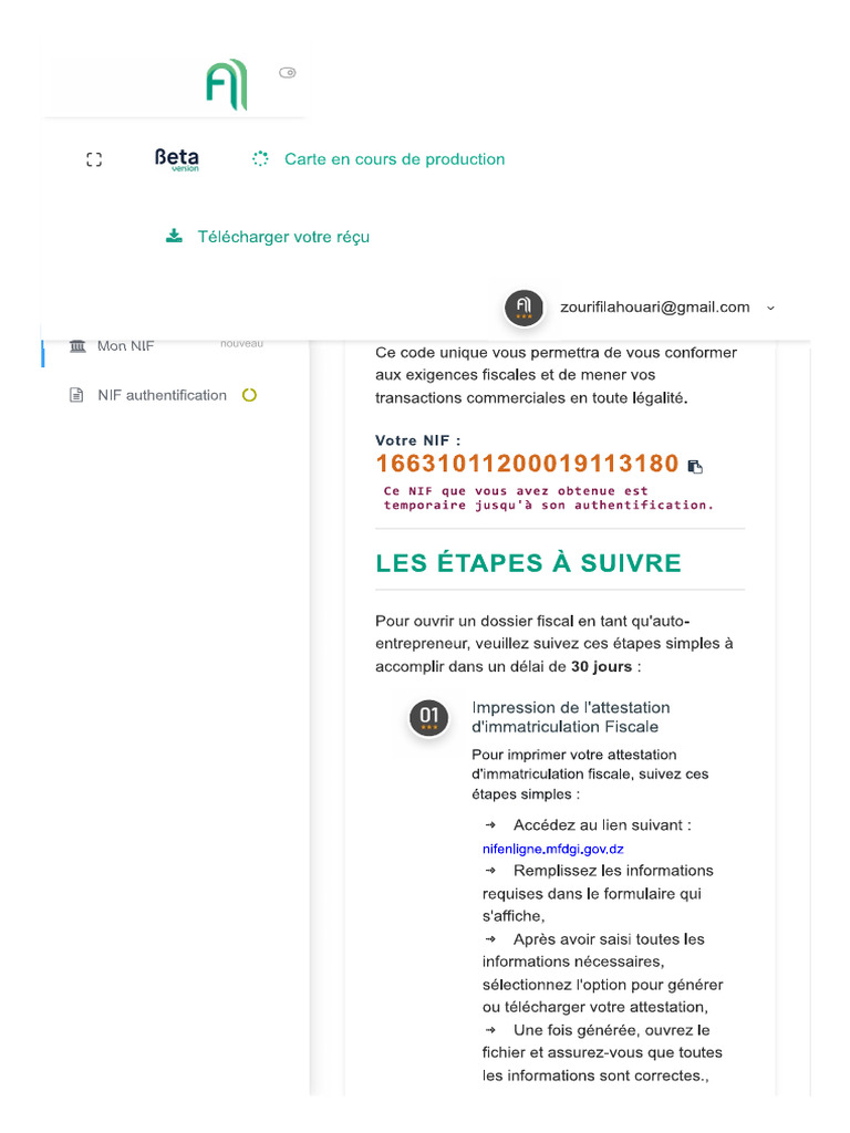 Procedures Nif | PDF