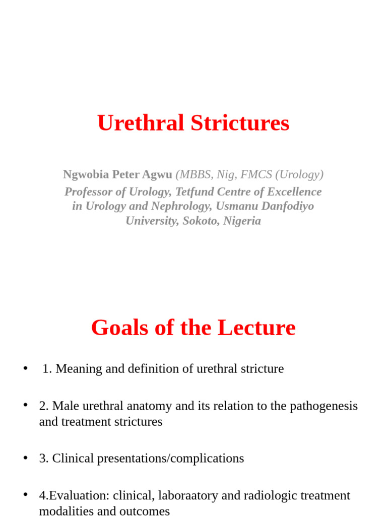 Urethral Strictures: Causes and Treatments | PDF | Clinical Medicine ...