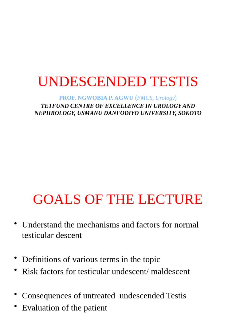 Understanding Undescended Testis | PDF | Testicle | Endocrine System