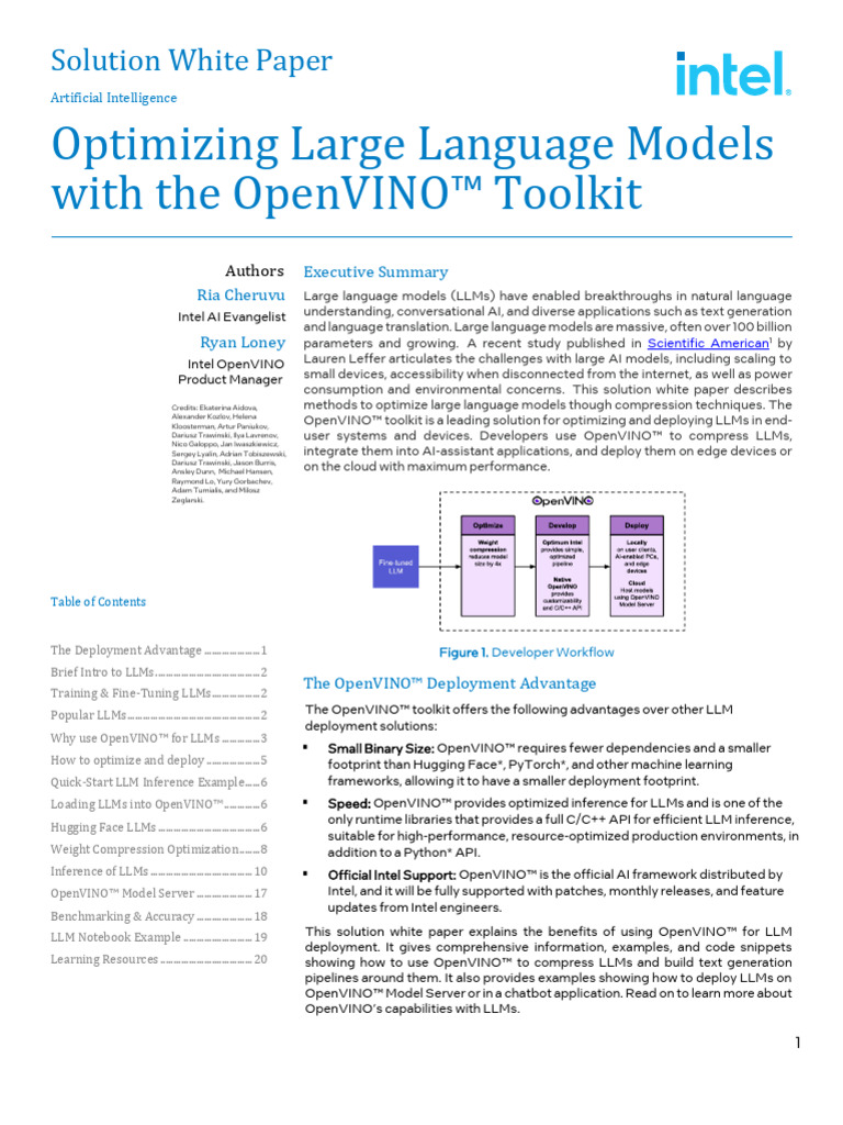 Openvino Toolkit Llms Solution White Paper | PDF | Computing | Computer Science