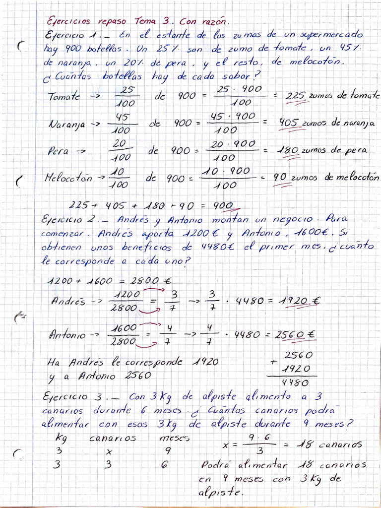 TEMA 4 FP Rosi Velin 4A | PDF