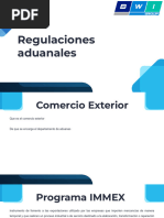 Operaciones Virtuales IMMEX 2022 | PDF | Economias