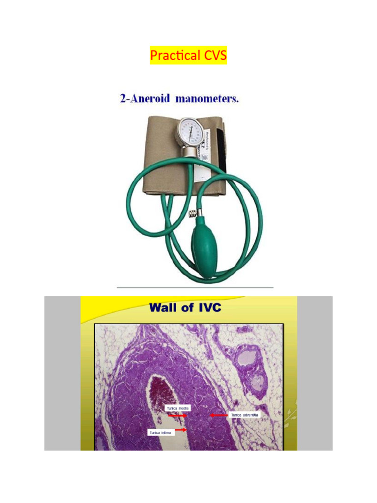 Practical CVS 1 | PDF