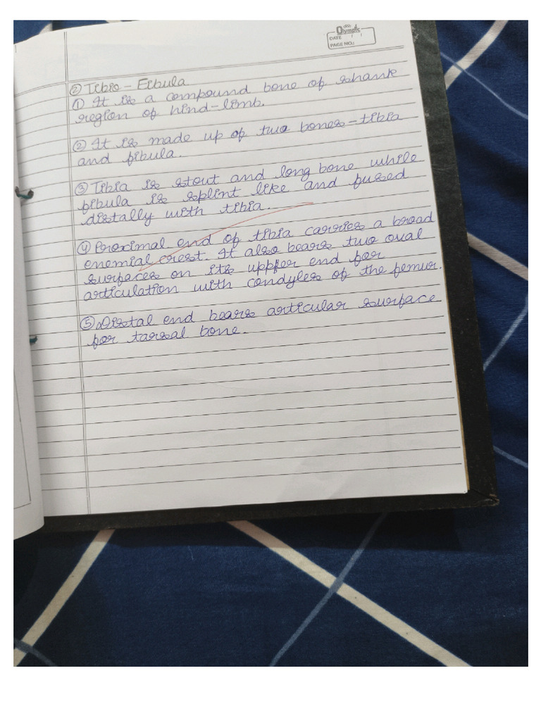 Zoology Semester 2nd Practical File Part 3 | PDF