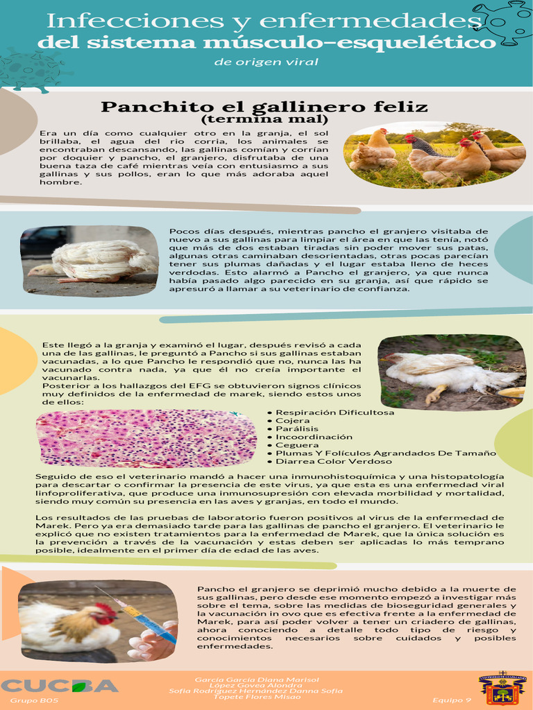 Prevención de la Enfermedad de Marek en Aves | PDF | Pollo | Virus