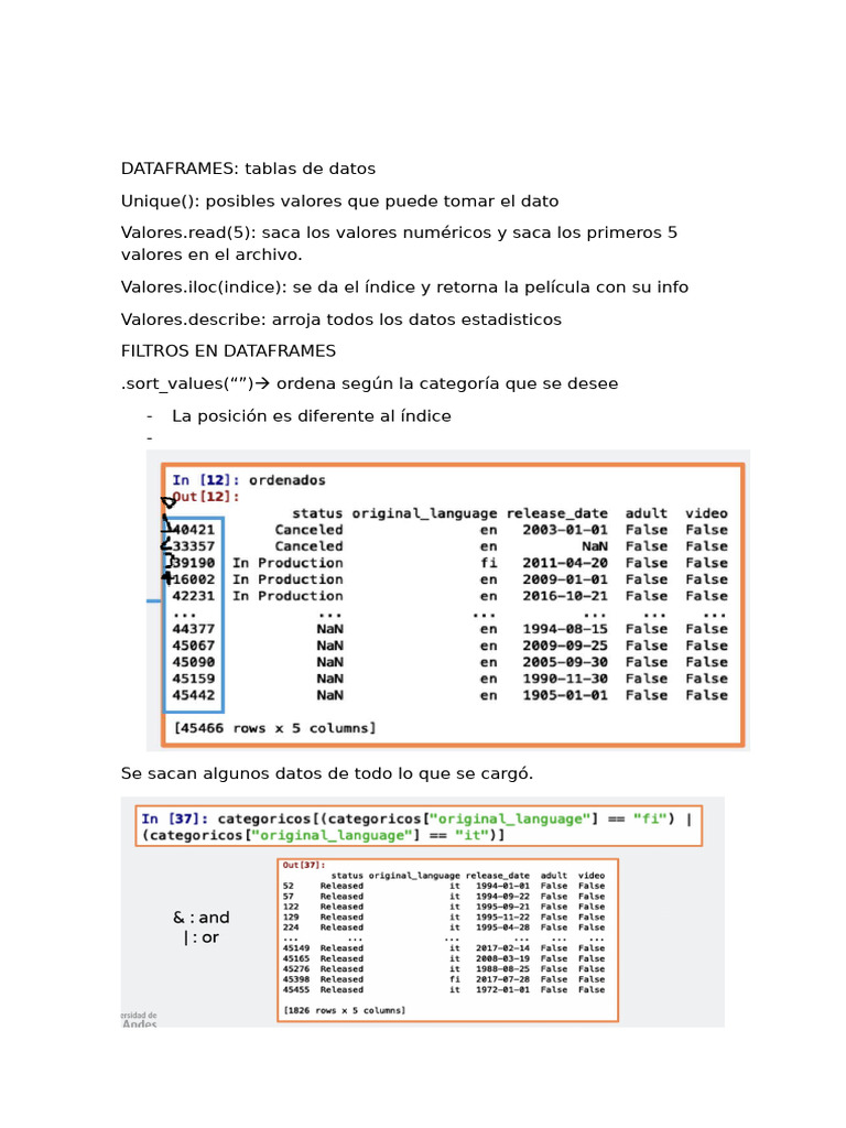 DataFrames: Análisis y Visualización | PDF