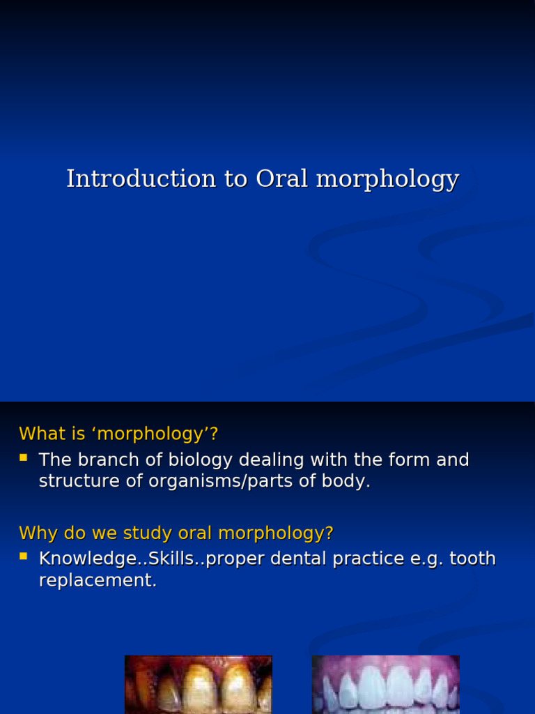Introduction to Morphology | PDF | Dental Anatomy | Dentistry Branches