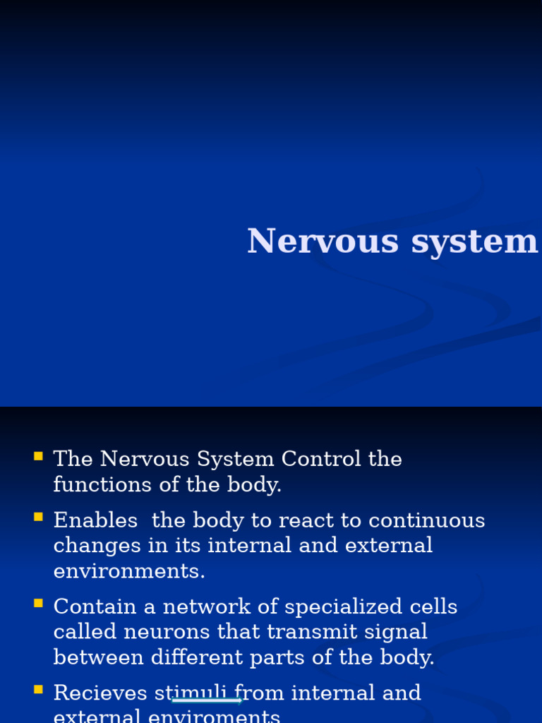 Nervous System Introduction 2 | PDF