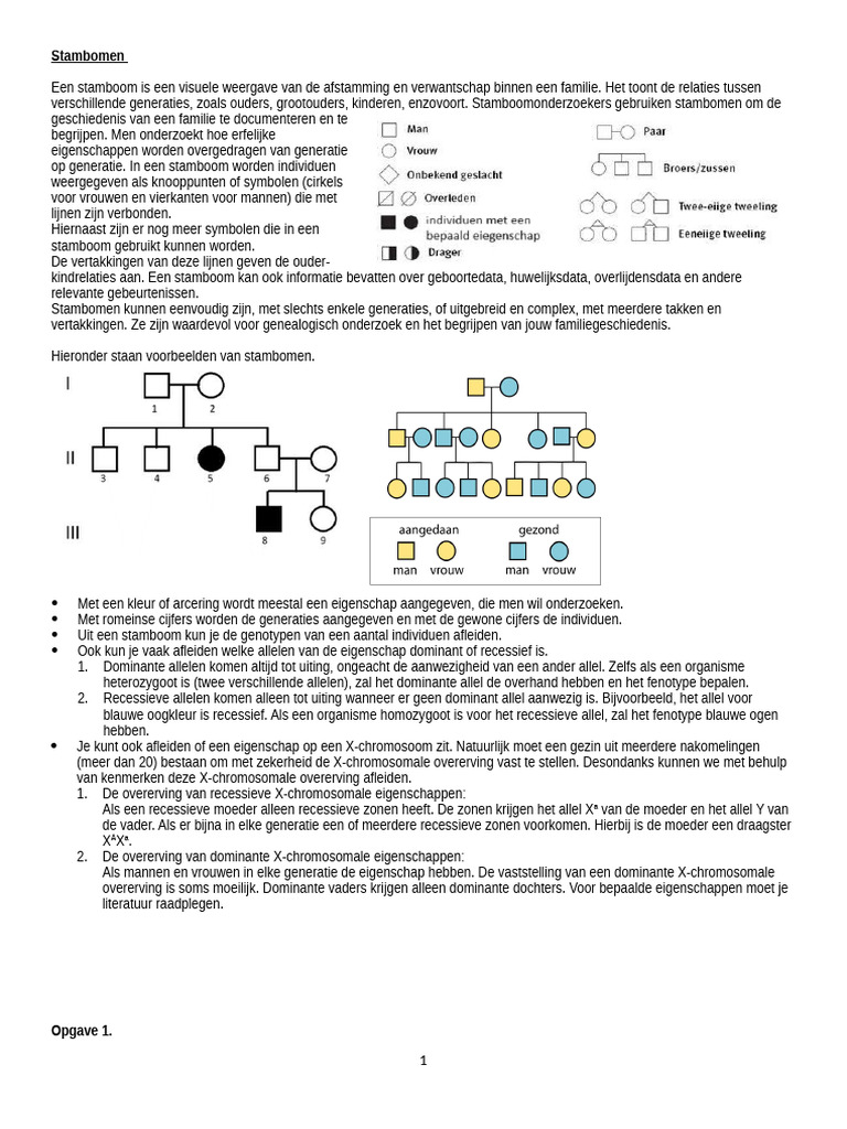 GENETICA 5e Klas 2023 2024 Deel 2 | PDF