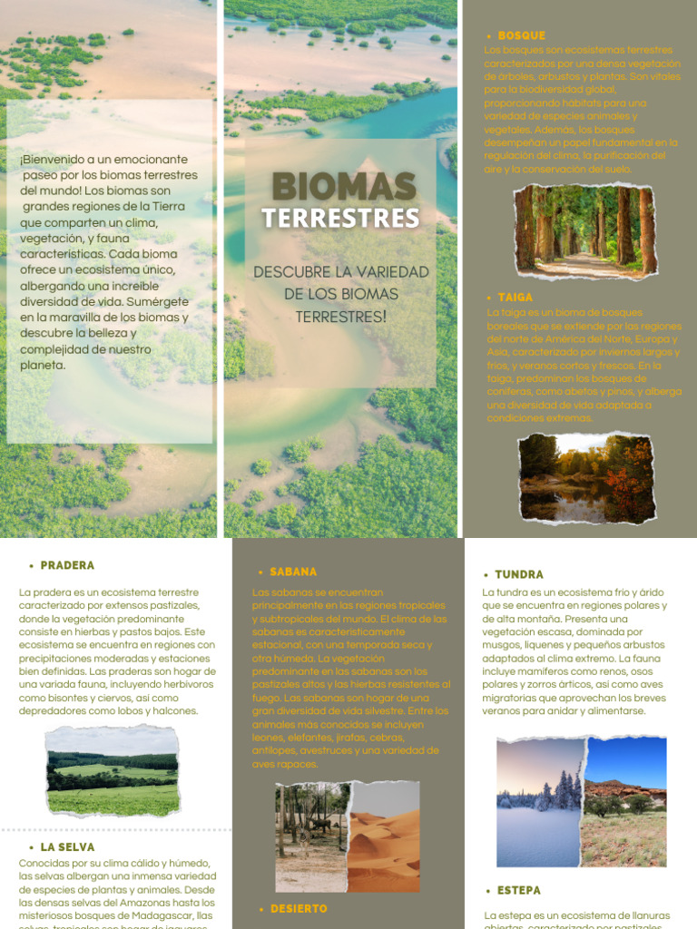 Biomas | PDF | Sabana | Ecosistema