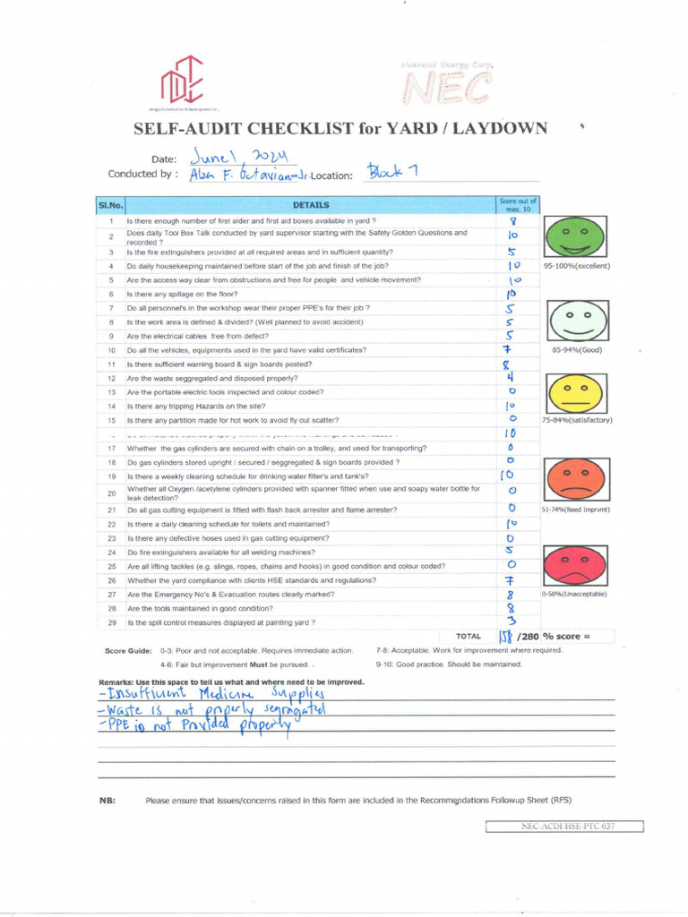 Self Audit Laydown June | PDF