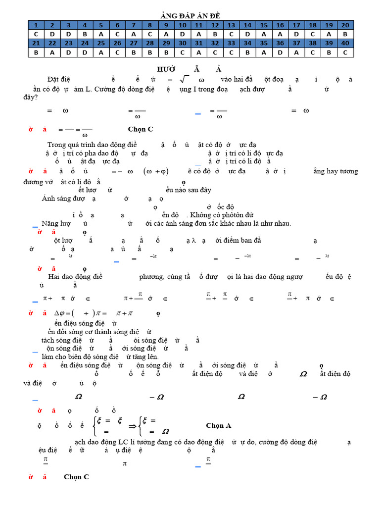 10-1 De-Loi Giai | PDF