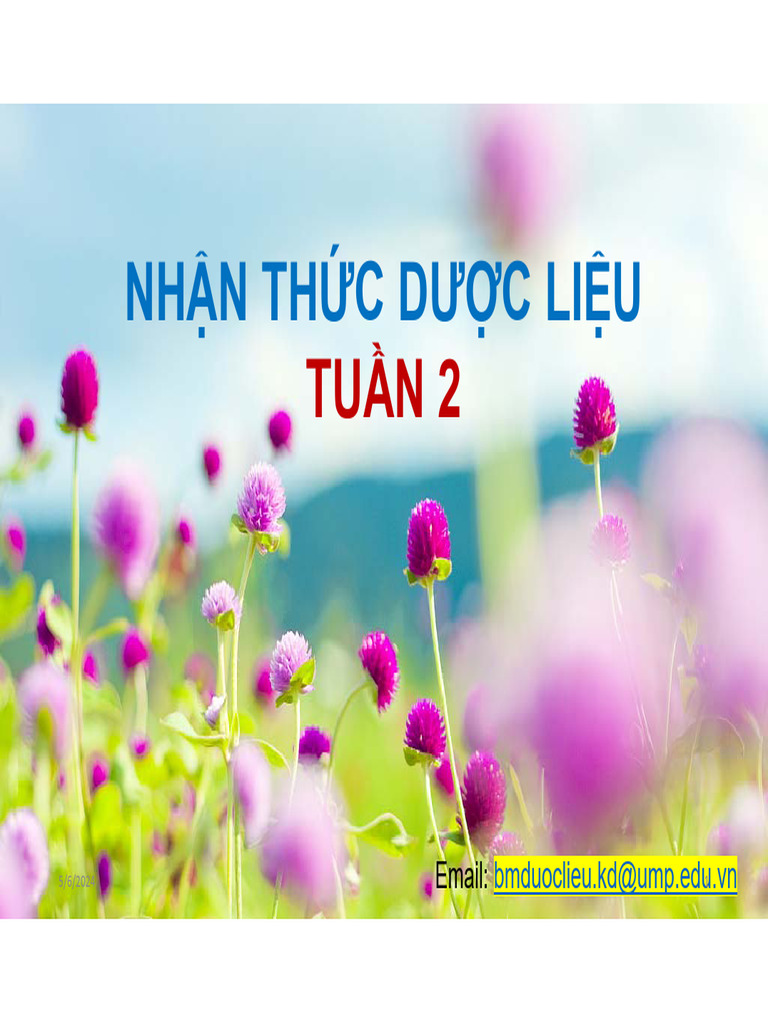 2024 - NTDL Bai 2 | PDF