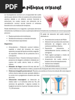 Protocolo de Cerclaje Cervical en Obstetricia | PDF | Parto | El embarazo