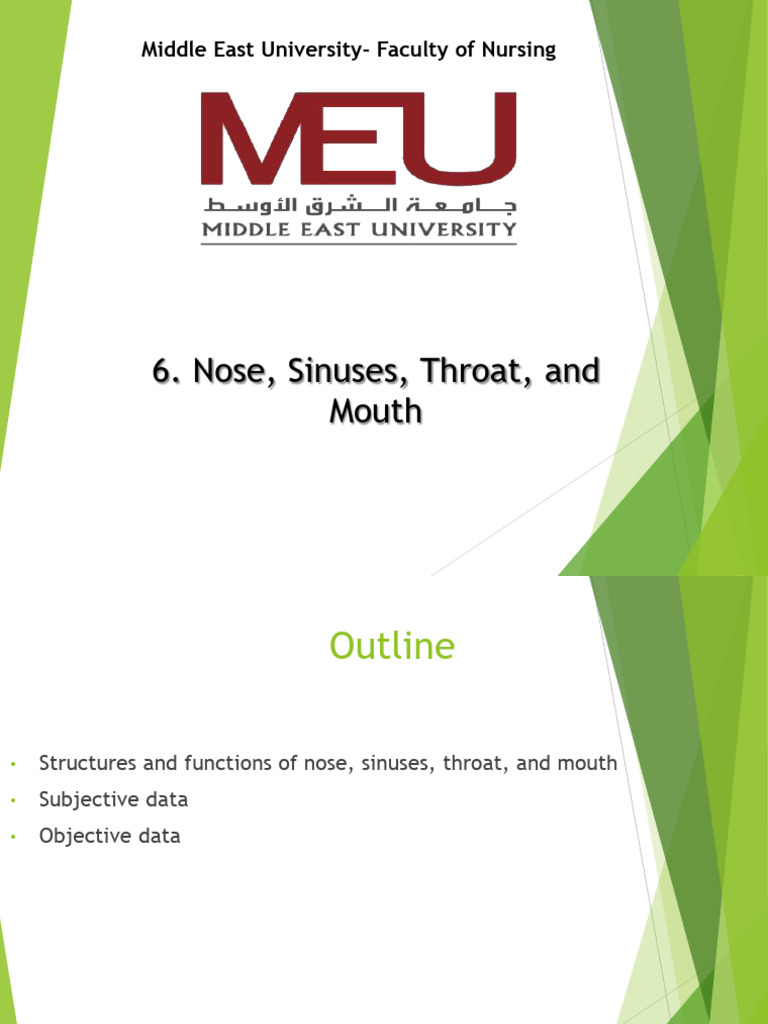 Nose, Sinuses, Throat, and Mouth | PDF | Human Nose | Otorhinolaryngology