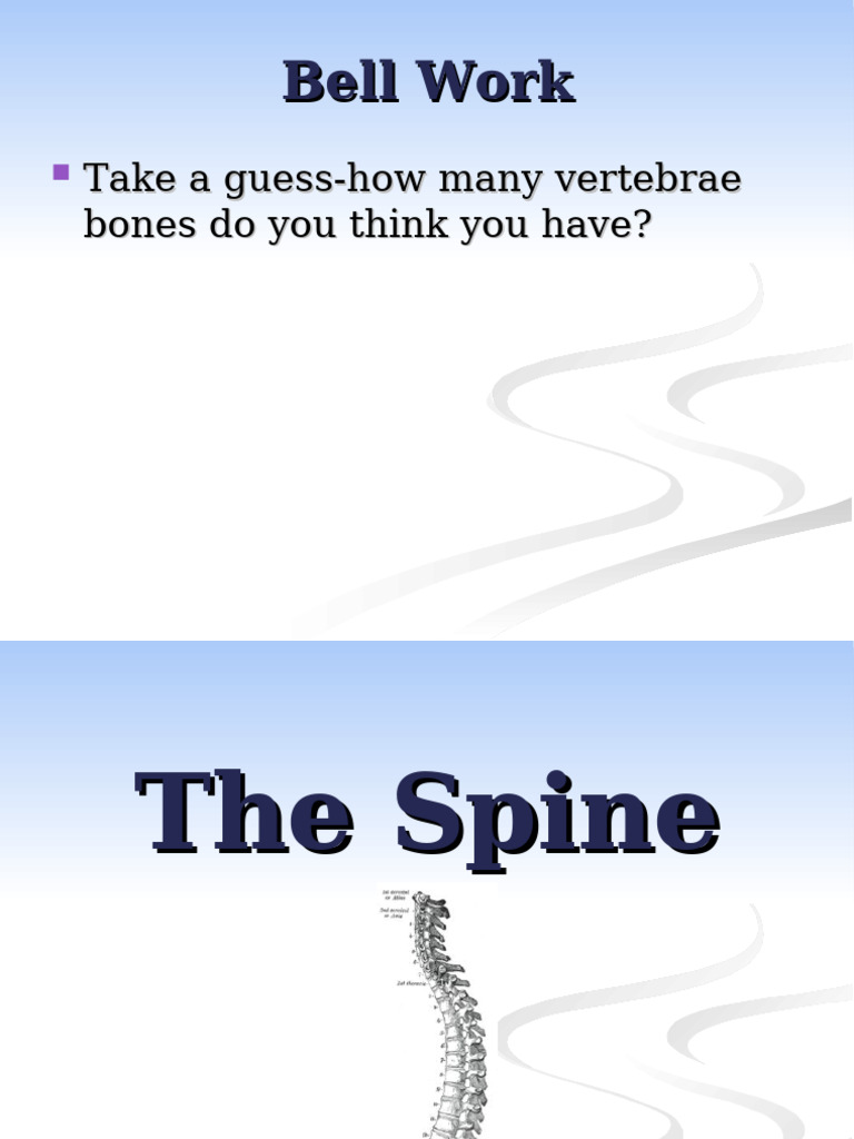 The Spine | PDF