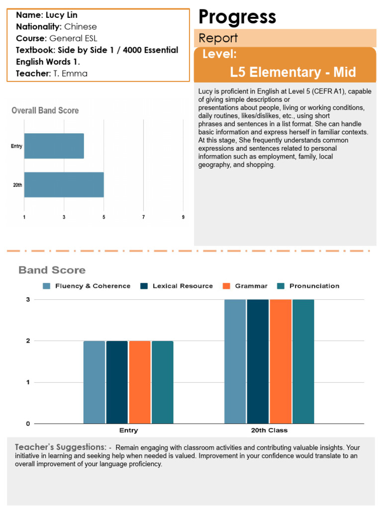 Lucy Lin assessment | PDF
