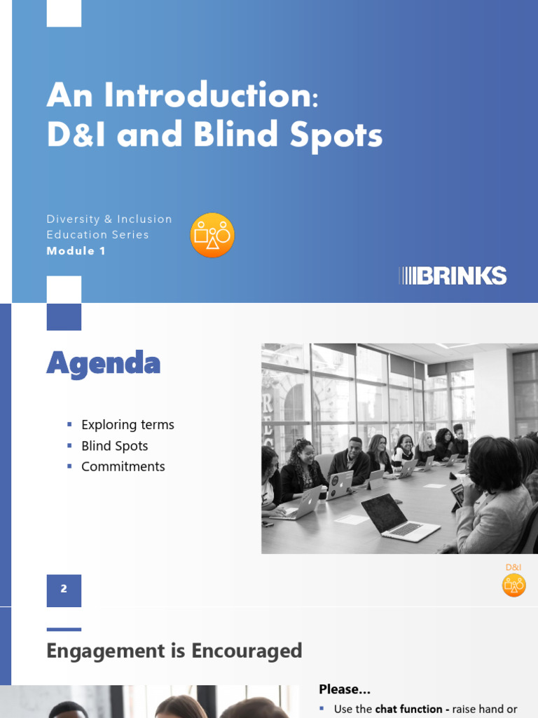 Brink's D&I Module 1 Training | PDF | Bias | Social Media