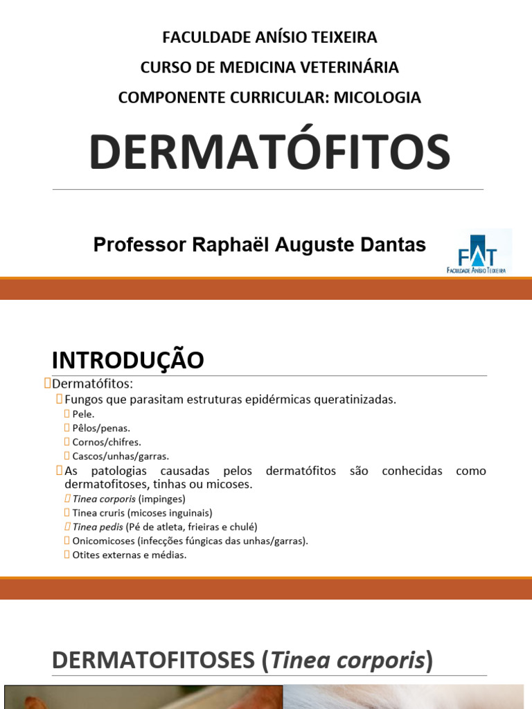 Dermatofitoses: Sintomas e Tratamentos | PDF