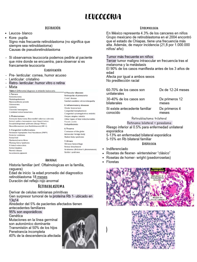 Oftalmo 2 | PDF | Metástasis | Cáncer