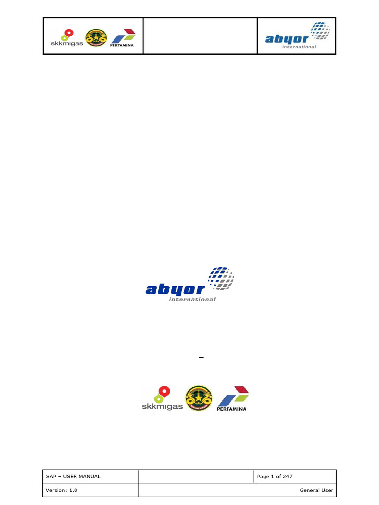 Manual Sap Bob | PDF