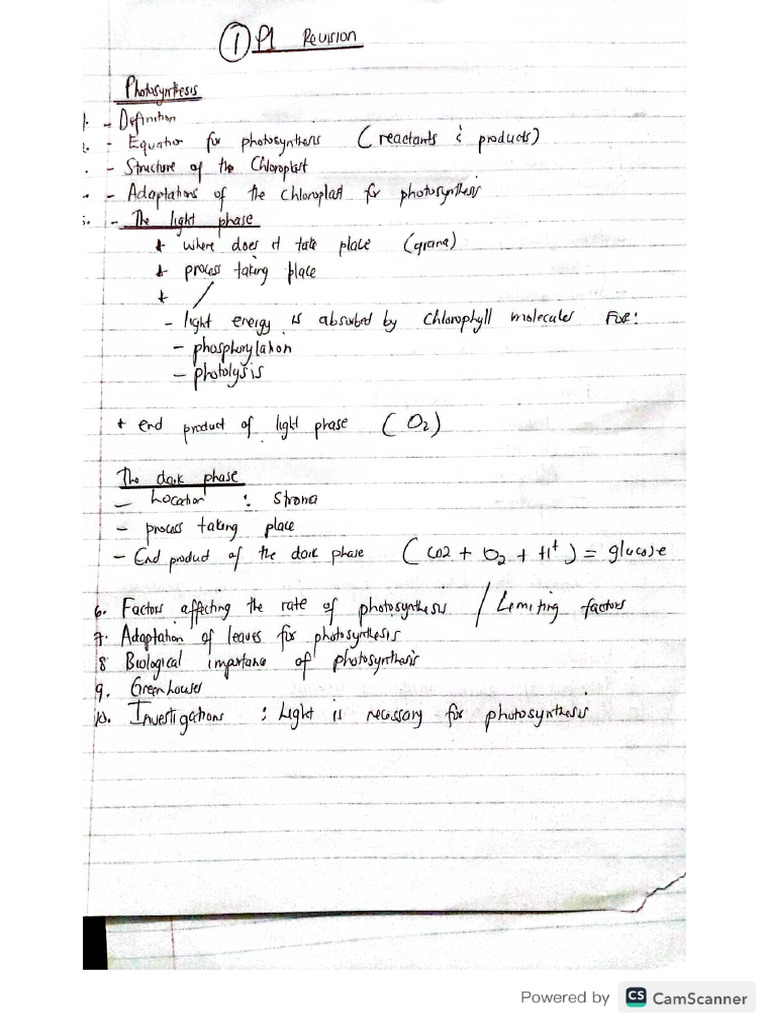 Revision Sub-Headings | PDF