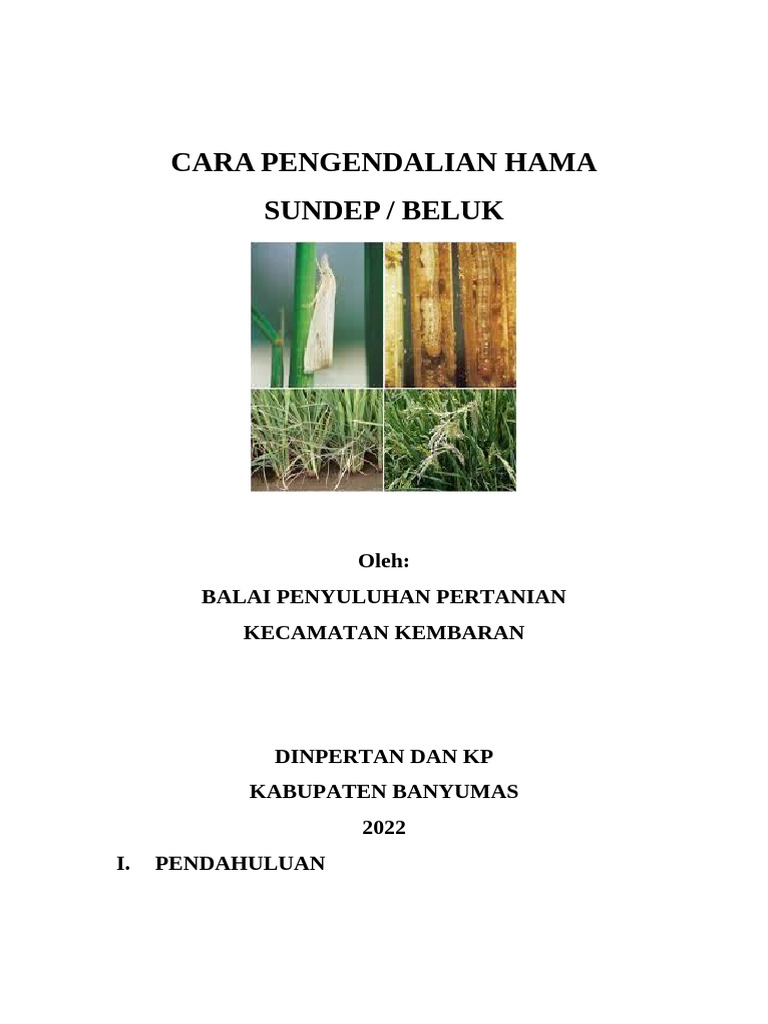 Pengendalian Hama Sundep dan Beluk | PDF