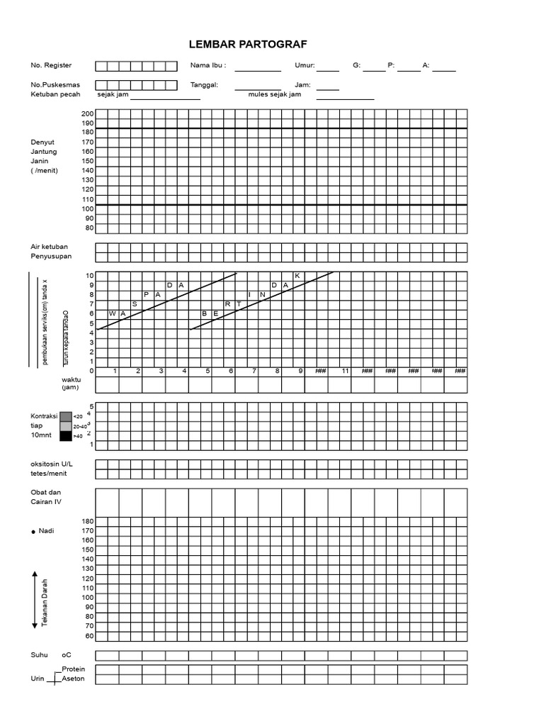 Partograf File | PDF