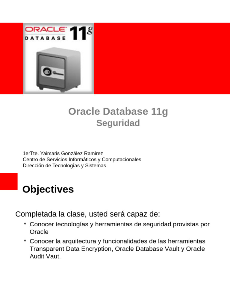 Oracle Security Pdf Bases De Datos La Seguridad Informática