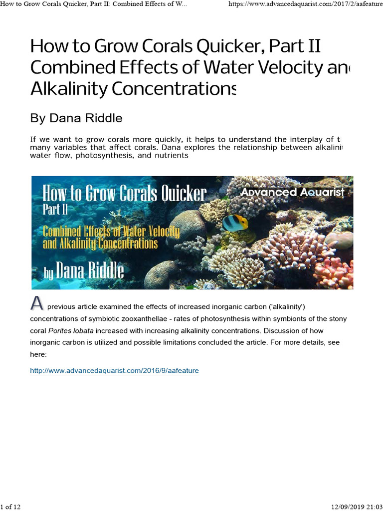 How to Grow Corals Quicker | PDF | Photosynthesis | Coral