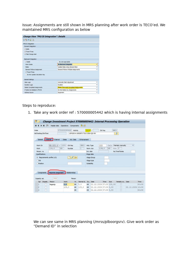 MRS - Work Order Issue | PDF
