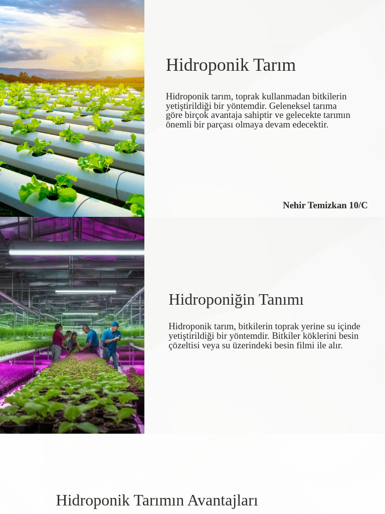 Hidroponik Tarim | PDF