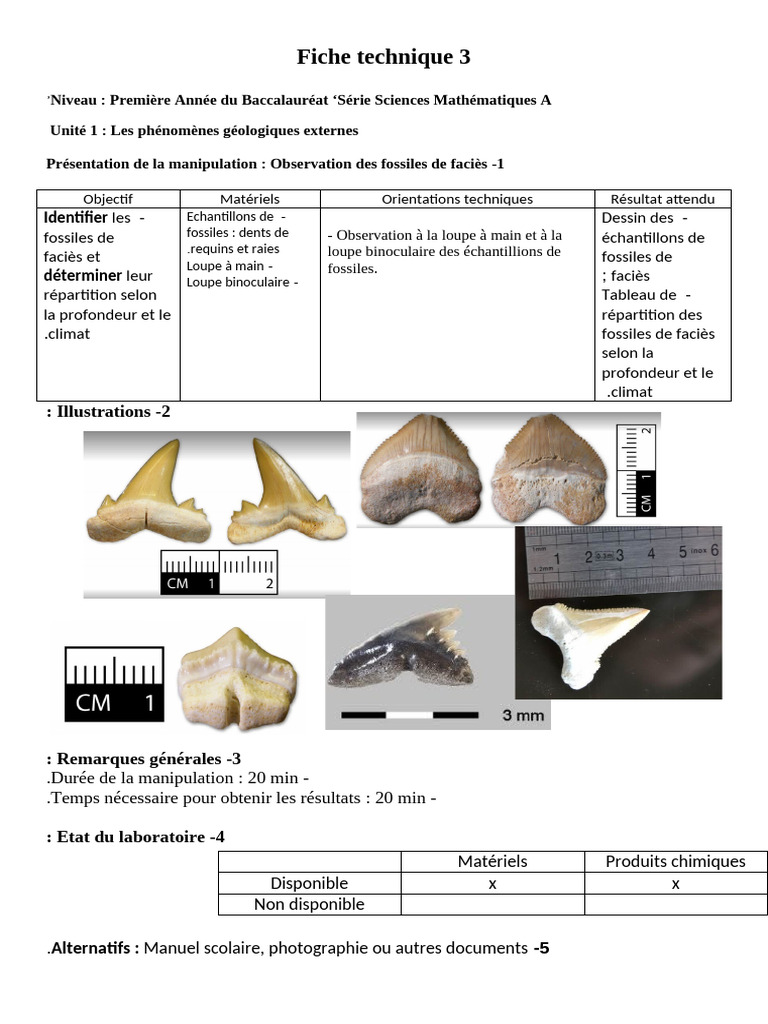 Observation des fossiles de faciès | PDF