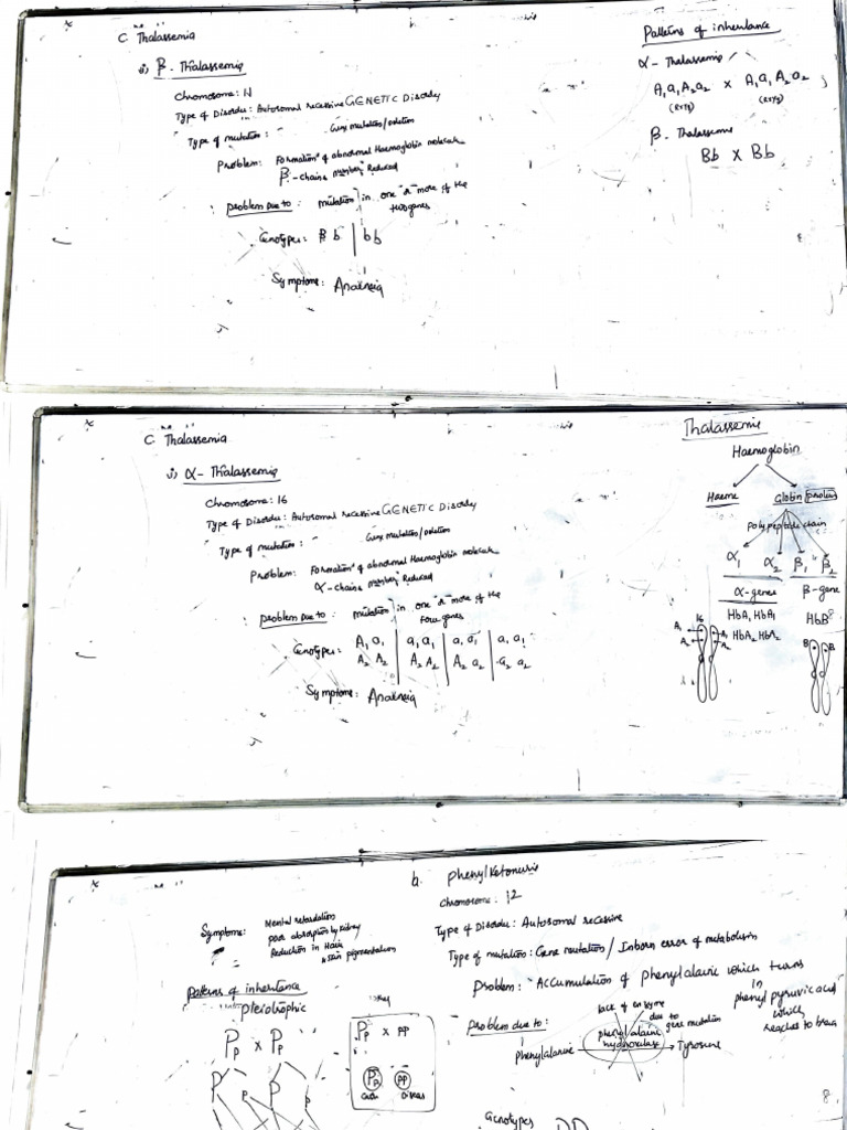 Whiteboard 2 Nov 2023 | PDF