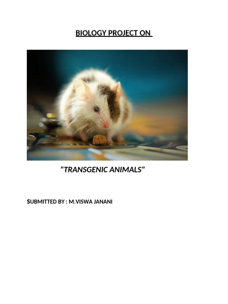 Biology Project On: "Transgenic Animals" | PDF