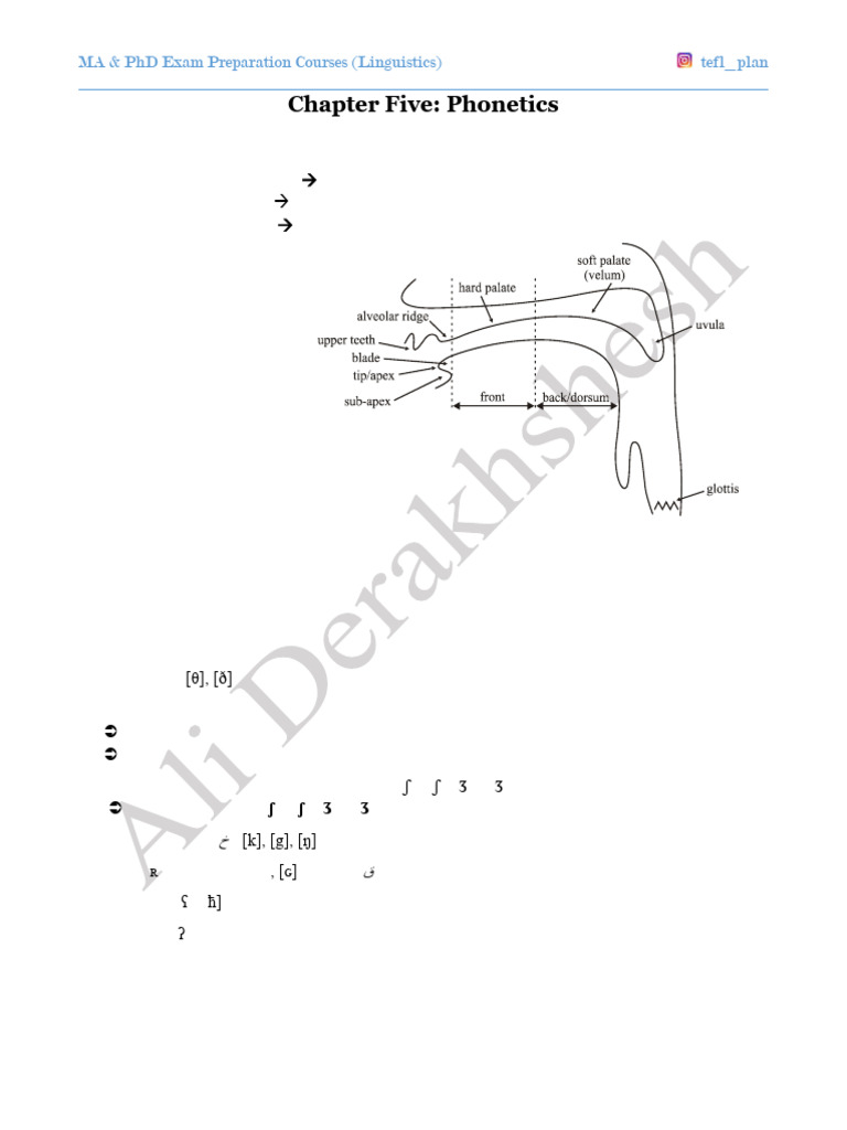 679695501-5ab - Phonetics | PDF | Phonetics | Stress (Linguistics)