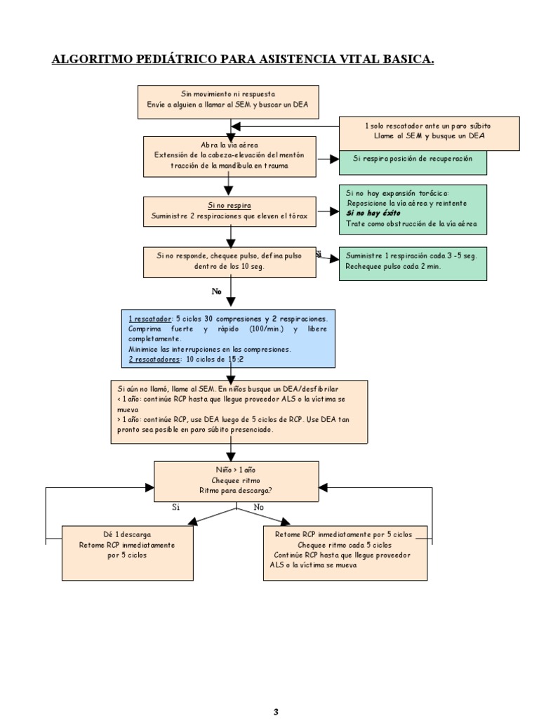 ALGORITMO RCP | Reanimación cardiopulmonar | Fisiología