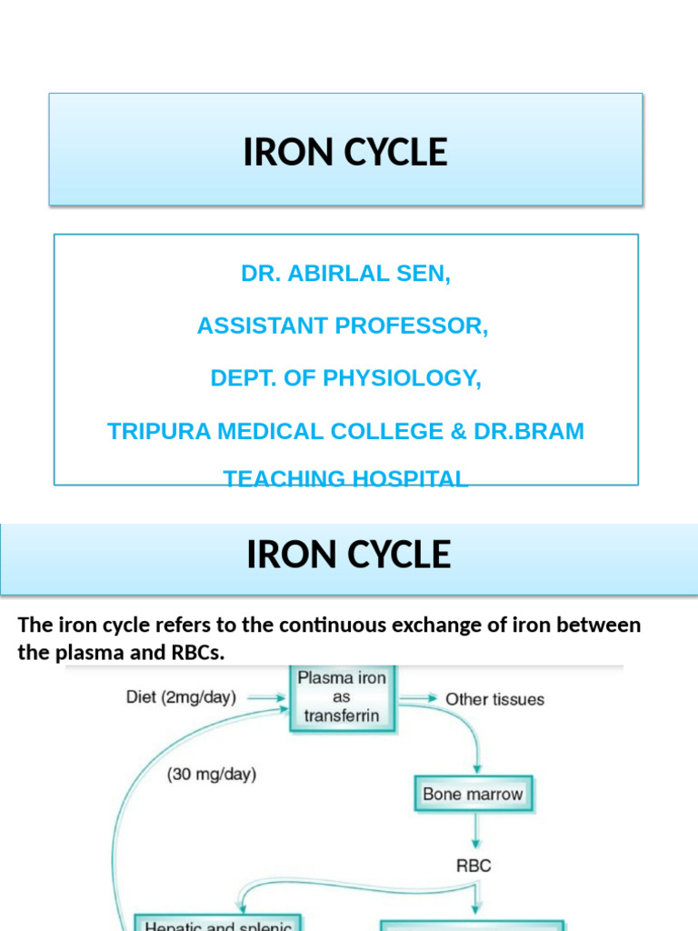 Iron Cycle 025621 | PDF