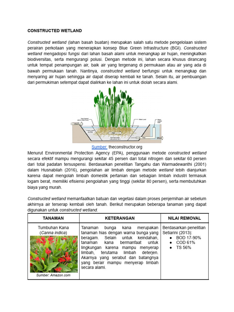 Constructed Wetland | PDF