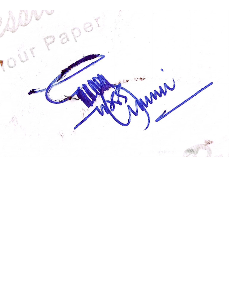 Electronic Signature | PDF