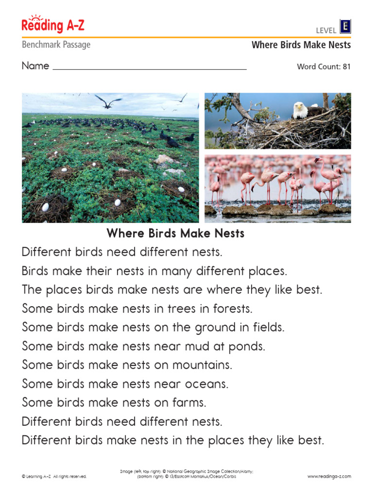 Where Birds Build Their Nests | PDF