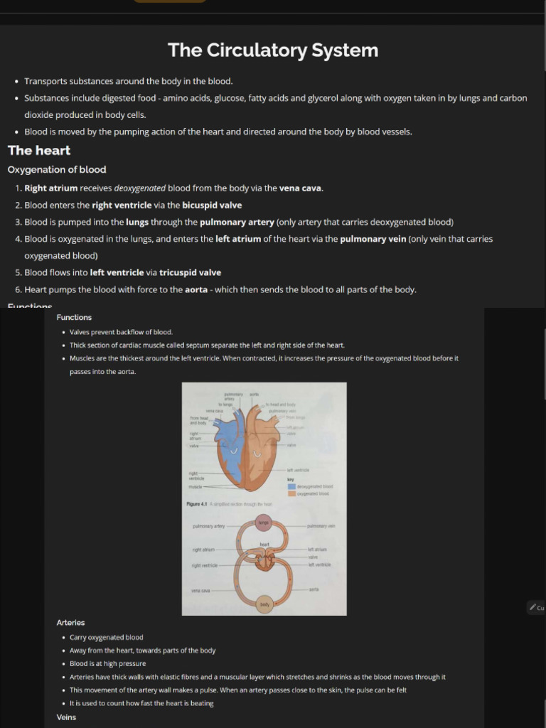 Circulatory System (Biology) | PDF