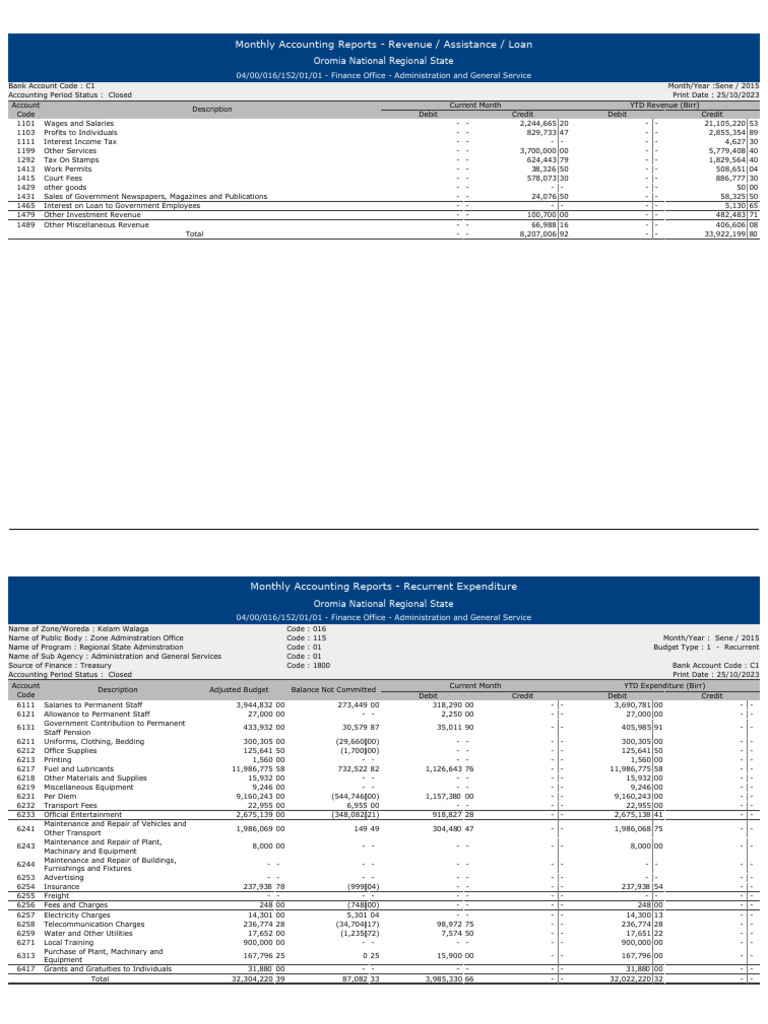 Monthly Accounting Reports - en | PDF