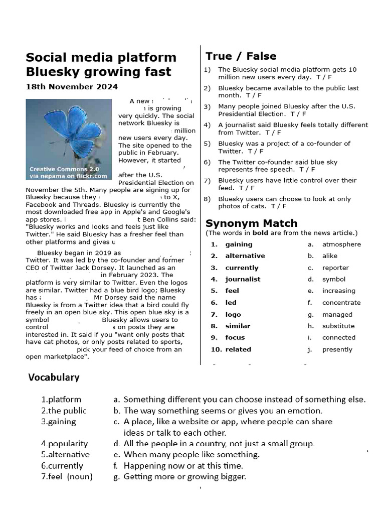 BlueSky Social Media 2 Page Lesson | PDF | Popular Culture & Media ...