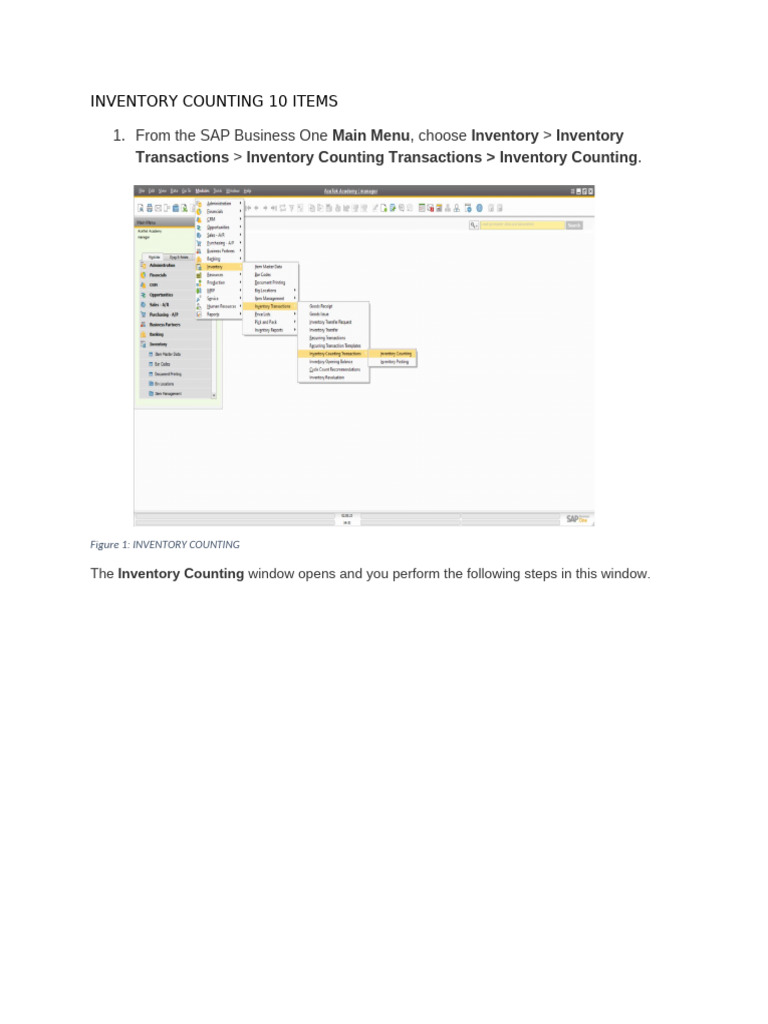 SAP B1 Inventory Counting Guide | PDF | Computing | Software