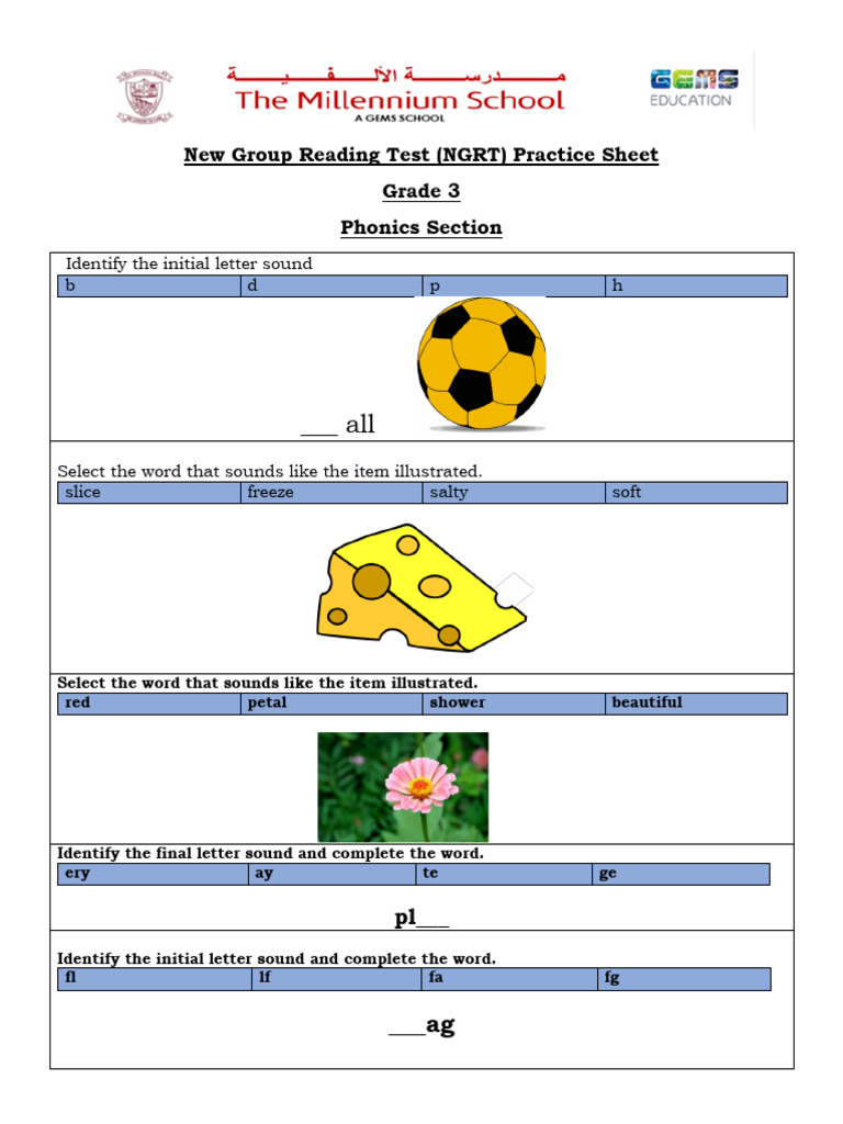 Holiday H.W NGRT - Practice Sheet - 2 | PDF