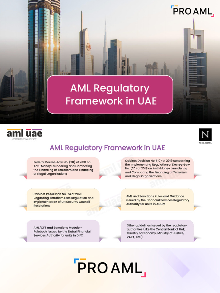 AML Regulatory Framework in UAE (2) | PDF