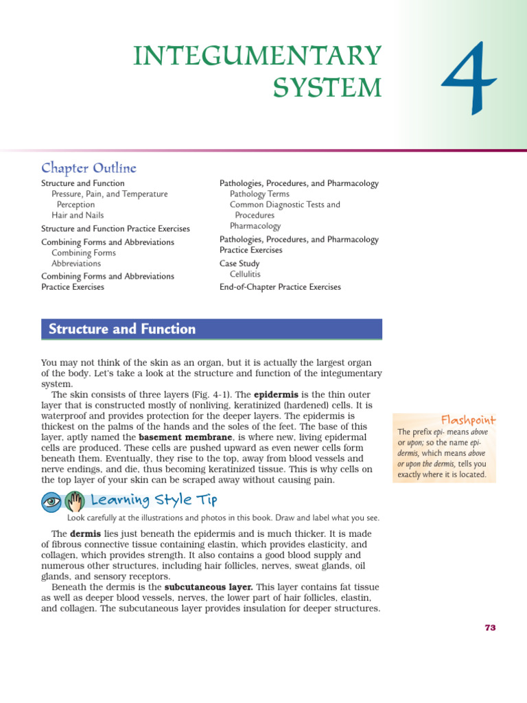 Medical Terminology in Flash -- Ch 4 Integumentary System | PDF ...