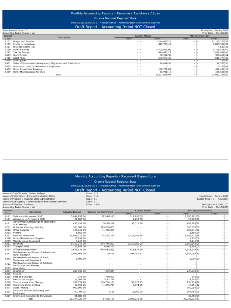 Monthly Accounting Reports - en | PDF